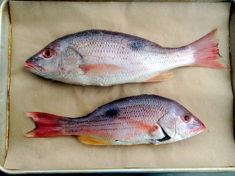 Roasted Red Snapper – Cookbook Wall